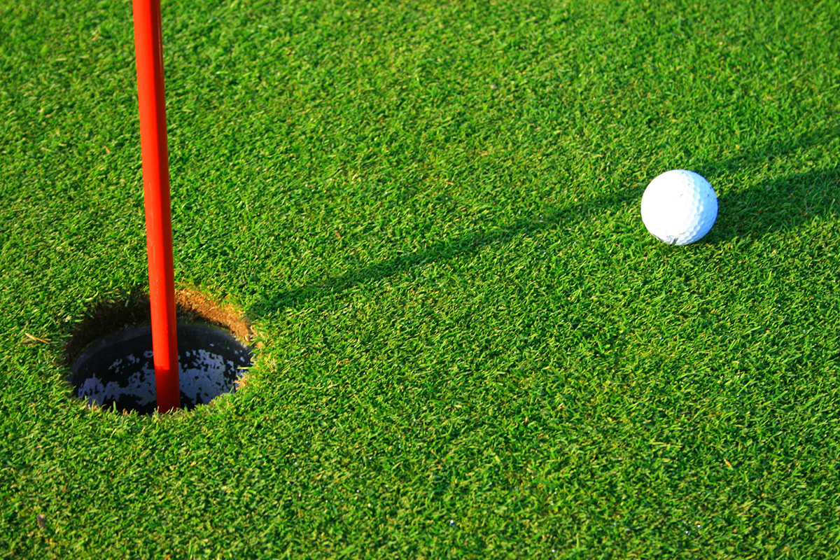 Resized pictures appears blurry · Issue #1367 · thumbor/thumbor · GitHub