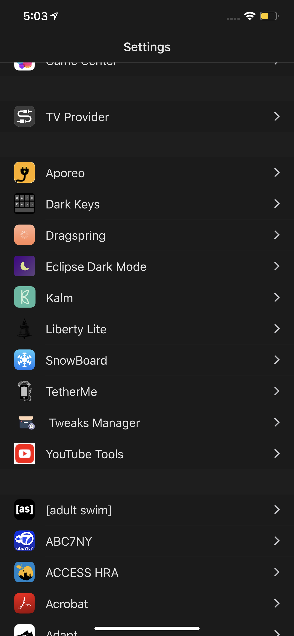 Bug on iOS 12.4 iPhone XS MAX · Issue #1773 · pwn20wndstuff/Undecimus · GitHub