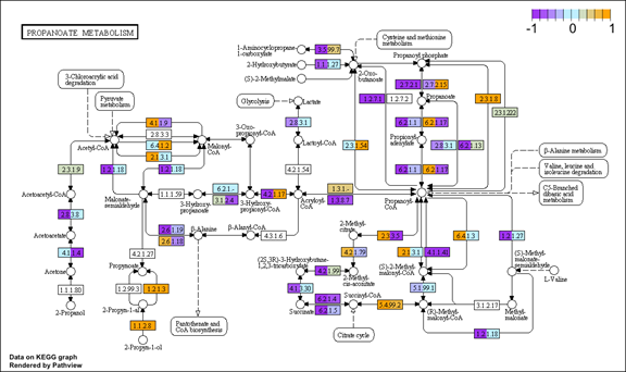 ask for help about the function of pathview · Issue #5 · datapplab/pathview · GitHub
