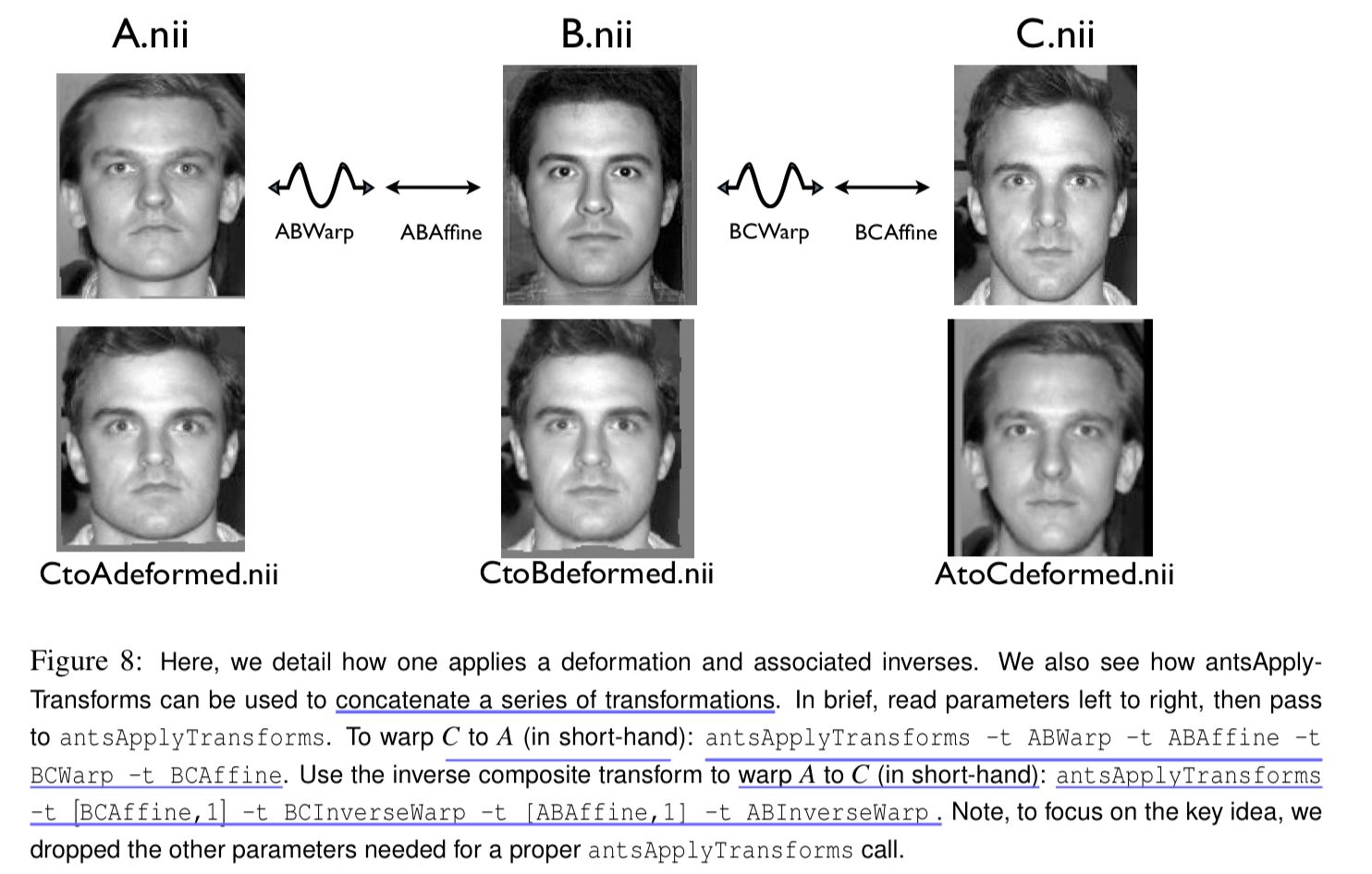 Ambiguity about transformation order in "Advanced Normalization Tools (ANTS) Release 2.x ...