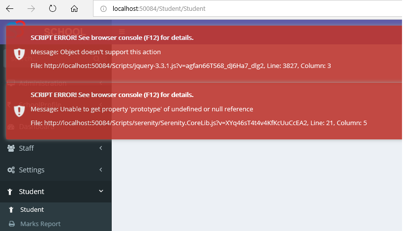 Error at Runtime · Issue #4136 · serenity-is/Serenity · GitHub