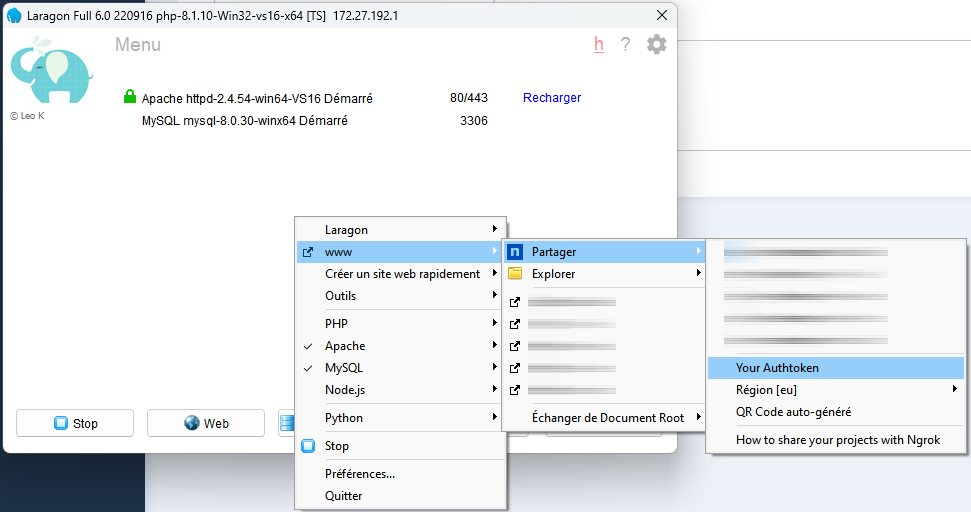 Ngrok AuthToken Setting · Issue #282 · leokhoa/laragon · GitHub