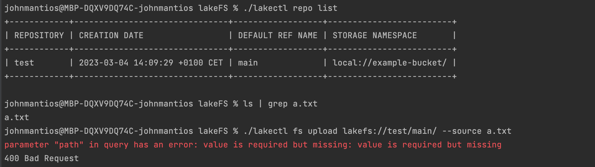 [DX] Improve error message for `lakectl upload` if path not correctly specified · Issue #5531 ...