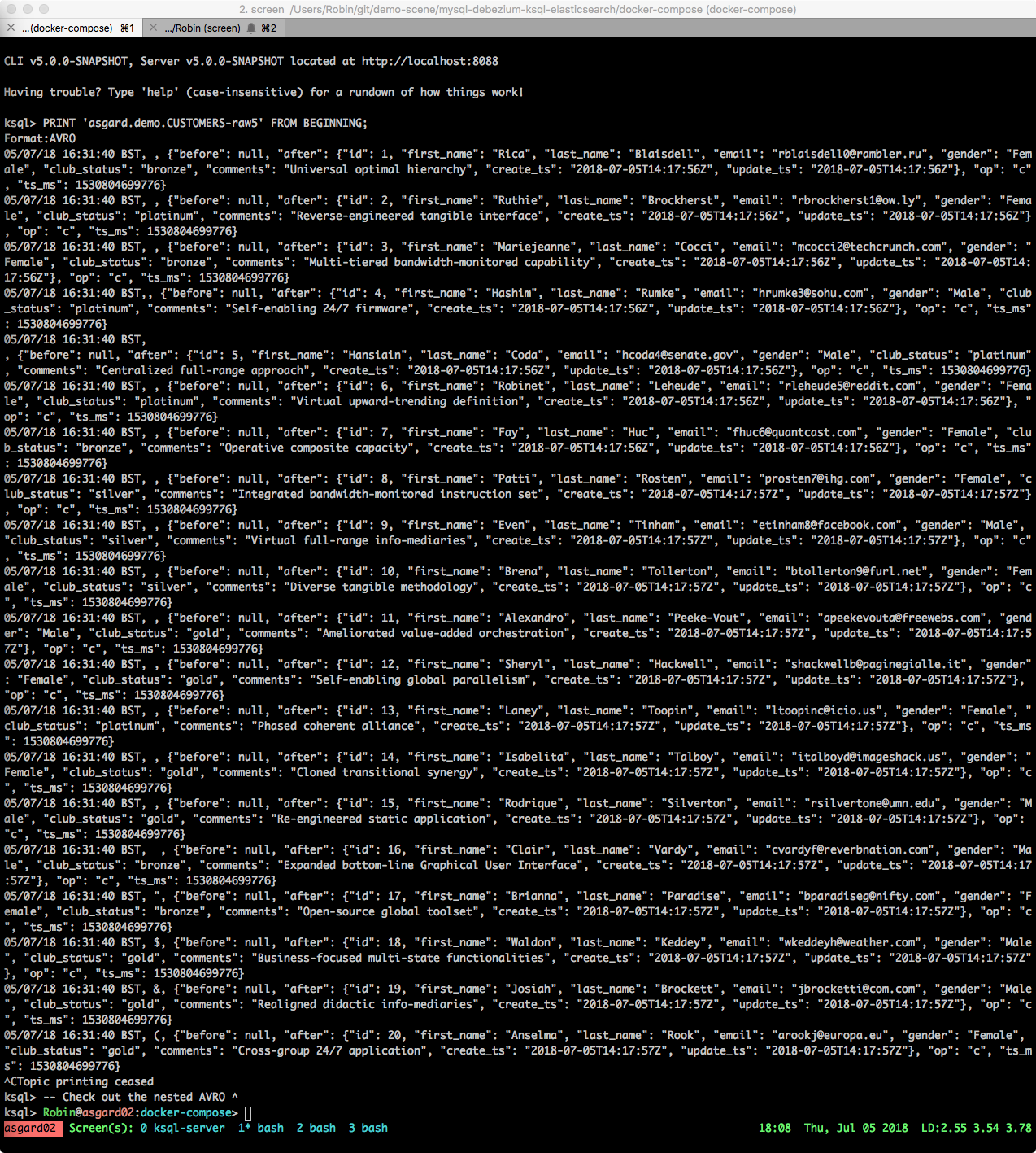 \u000e character screws up the web player · Issue #93 · asciinema/asciinema-player · GitHub