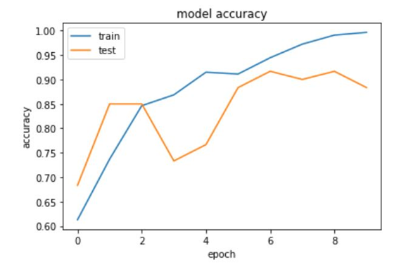 GitHub - chandralekhaaa/Cat_Breed_Classifier: Classifications of cat ...