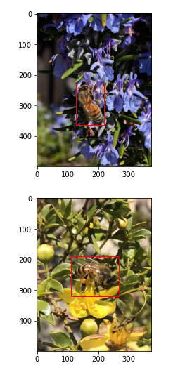 GitHub - sherifshahinhub/AWS-Bees-Object-Detection