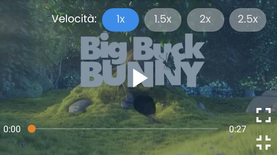 Cannot Customize Fullscreen Icons · Issue 726 · Ihmpavelexpo Video Player · Github