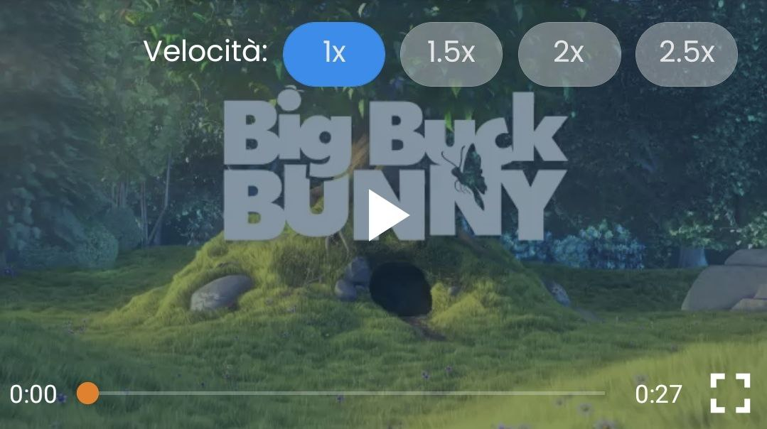 Cannot Customize Fullscreen Icons · Issue 726 · Ihmpavelexpo Video Player · Github