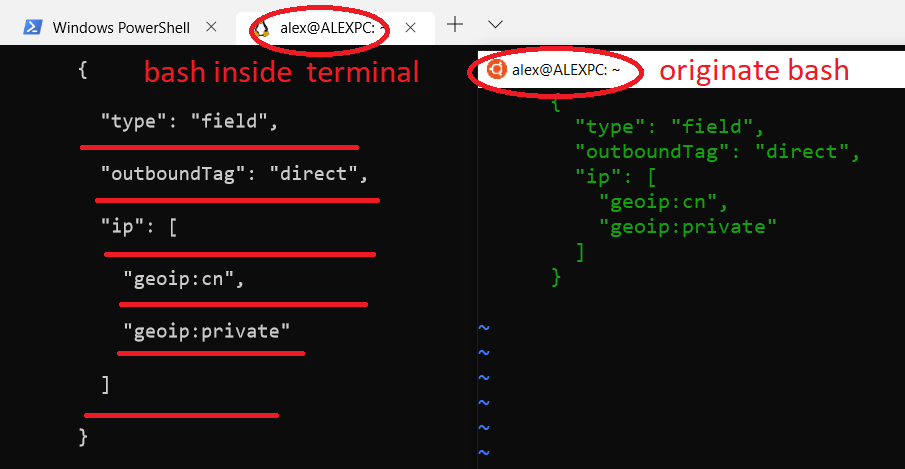 ubuntu 18.04 bash between originate one and terminal one behave quite ...