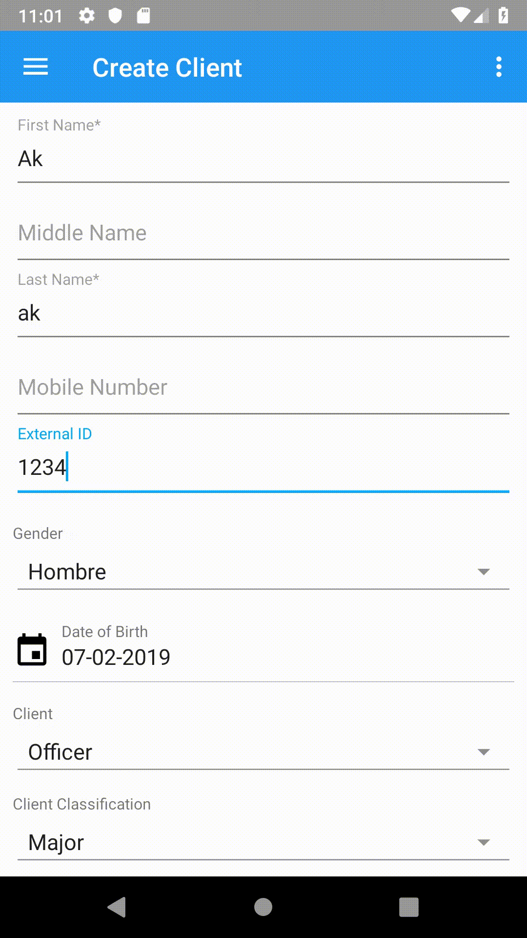 Same External Id Message Should Appear So User Can Enter A New External Id · Issue 1041