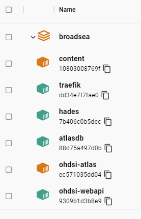 Errors on startup on Windows · Issue #67 · OHDSI/Broadsea · GitHub