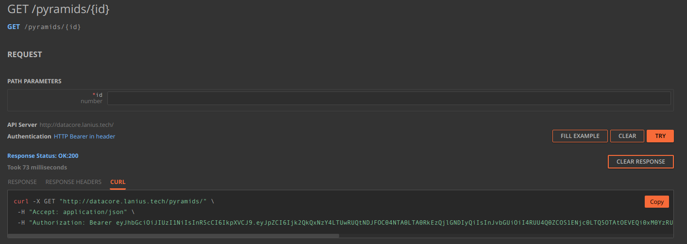 Required parameters not checked · Issue #701 · rapi-doc/RapiDoc · GitHub