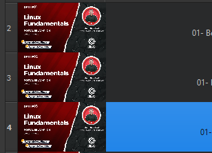 Number that will be increased with each download, starting at 1, 2, 3 ...