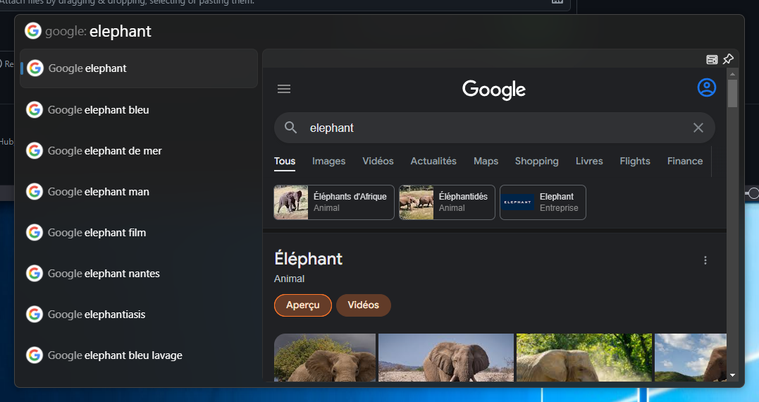 Web preview not working · Issue #666 · adirh3/Fluent-Search · GitHub