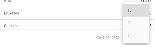 [Syncfusion_Datagrid] Grid page selector and text filter window ...