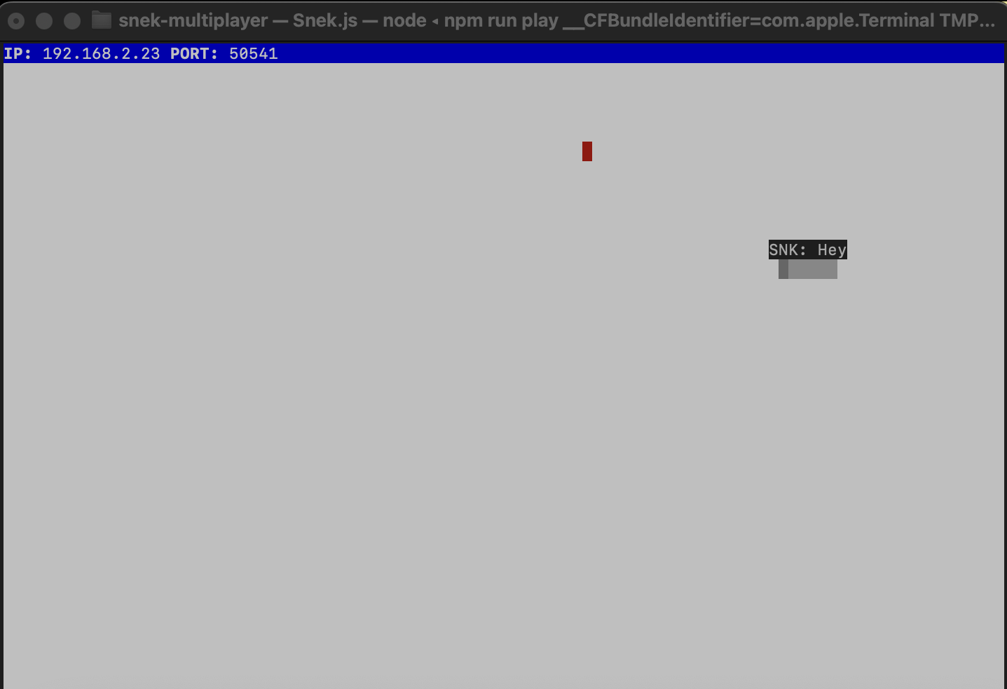 GitHub - egesenli/snake-client