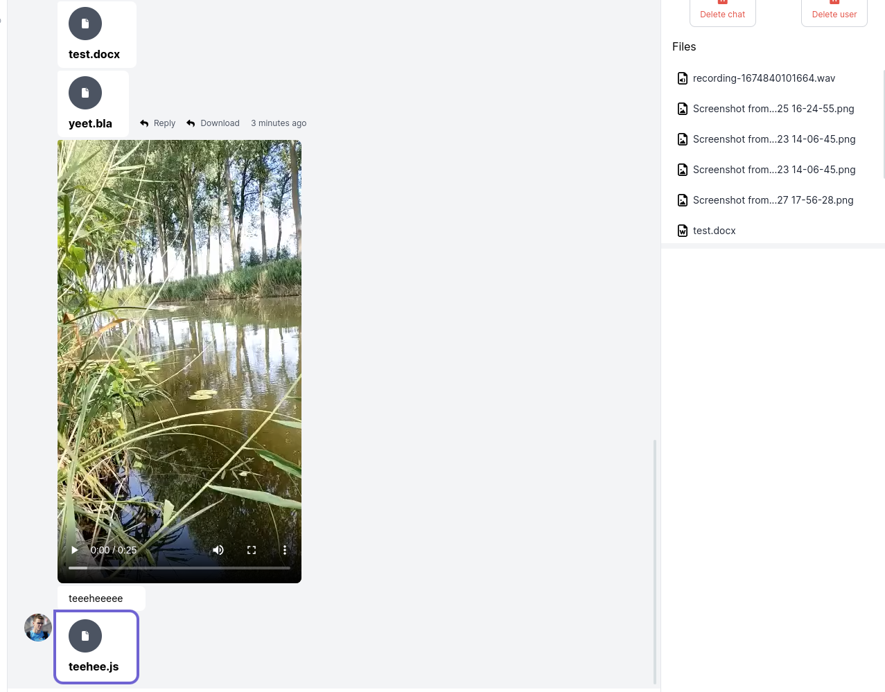 [WHISPER] '.txt' or other simple files don't show up on 'files' list of the chat · Issue #965 ...