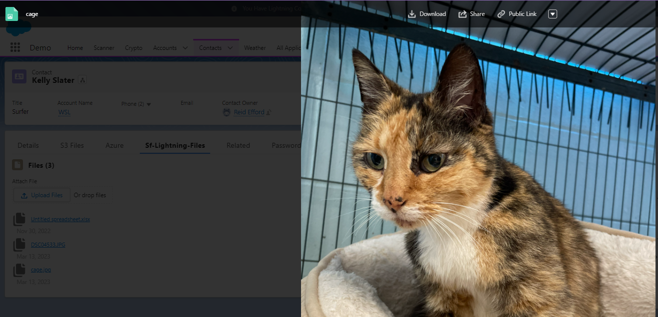GitHub - effordDev/sf-lightning-files: This component displays all files related to a record ...