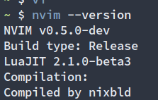 Not installing Nightly · Issue #91 · nix-community/neovim-nightly-overlay · GitHub