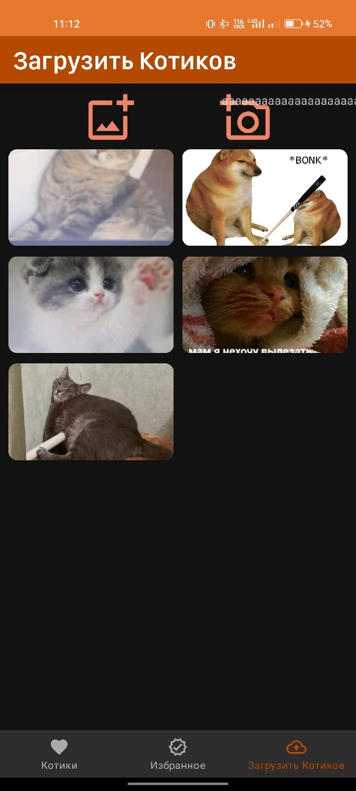 GitHub - K4346/Center-of-Cat: meow