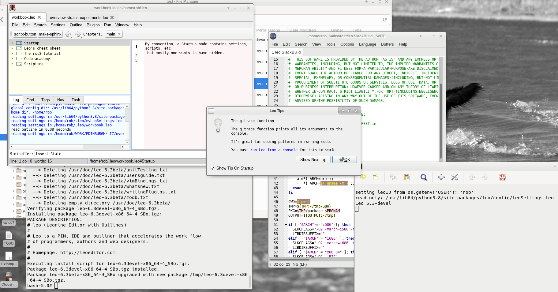 Errors Installing leo system-wide · Issue #1512 · leo-editor/leo-editor ...