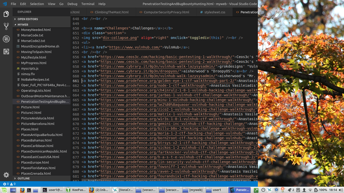 Graphics / window only 3/4 of display when VSCode launched · Issue ...