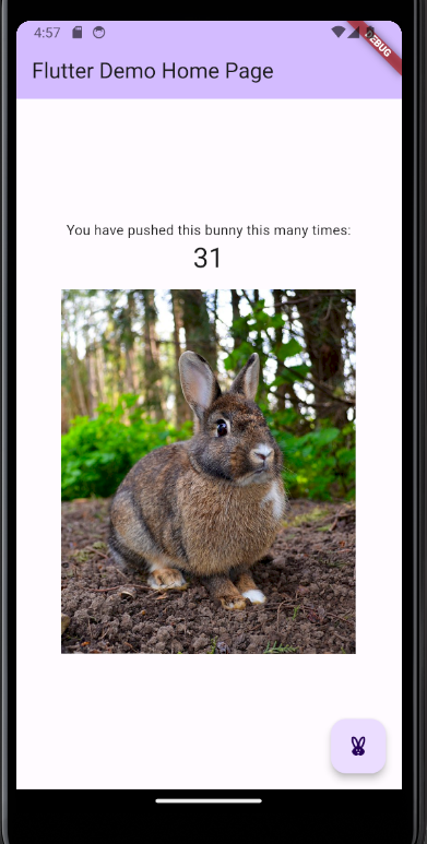 GitHub - leo-huovi/Flutter
