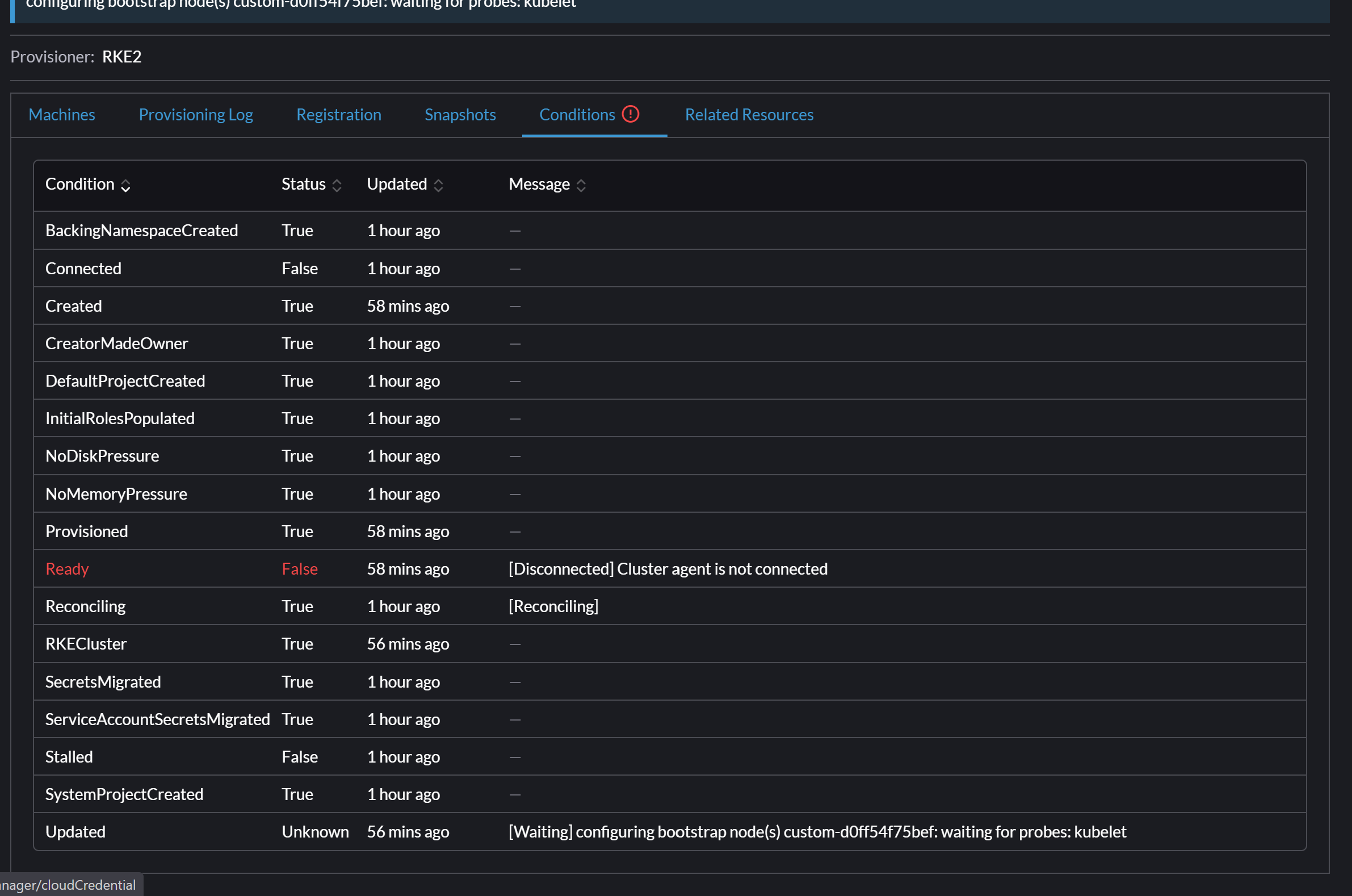 [bug] Wrong Flag Passed To Rke2 Binaries While Provisioning Rke2 Cluster From Rancher Ui · Issue