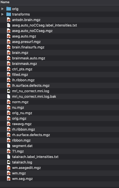 FreeSurfer recon-all error aseg.mgz is not created · Issue #2356 · nipreps/fmriprep · GitHub