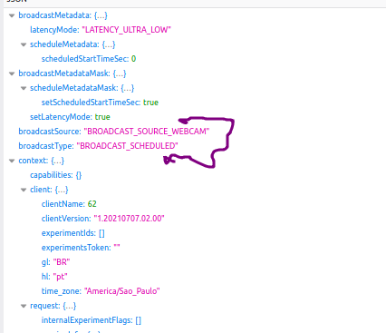 How to create a webcam type broadcast via API · Issue #349 · youtube ...