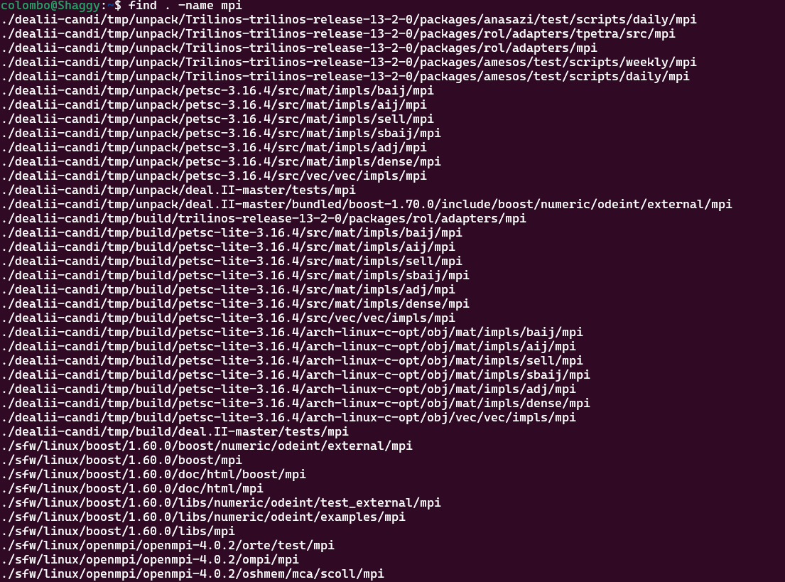 Error when compiling IBAMR · Issue #1574 · IBAMR/IBAMR · GitHub