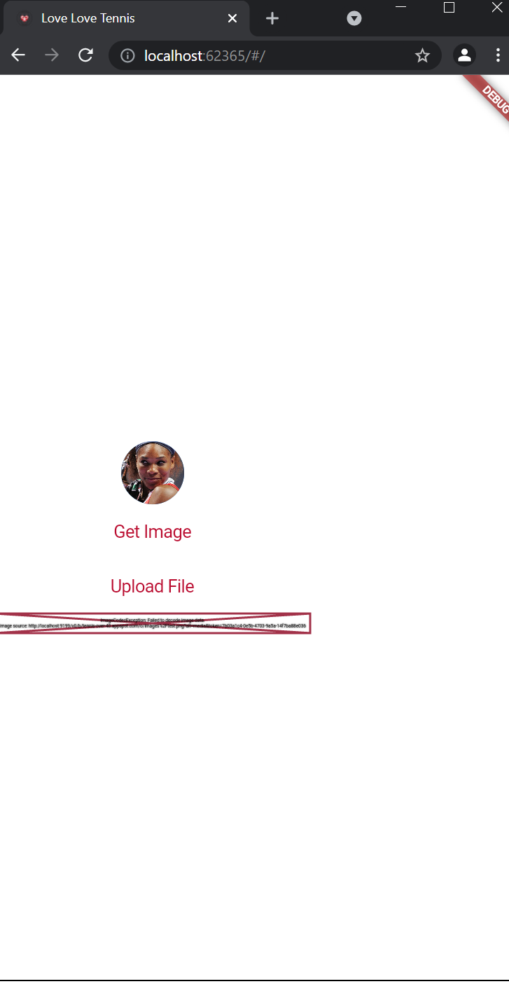 [Web] `XFile.fromData` throws The following ImageCodecException was thrown resolving an image ...