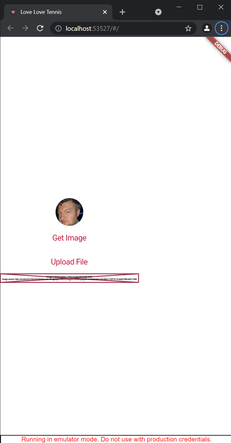 [Web] `XFile.fromData` throws The following ImageCodecException was thrown resolving an image ...