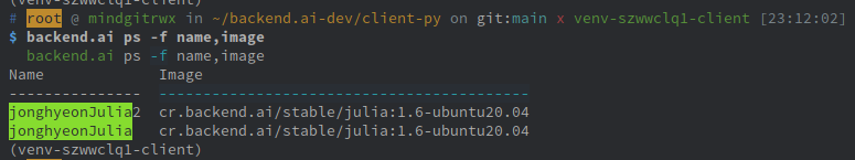 'backend.ai app' commands do not match with session name properly · Issue #297 · lablup/backend ...