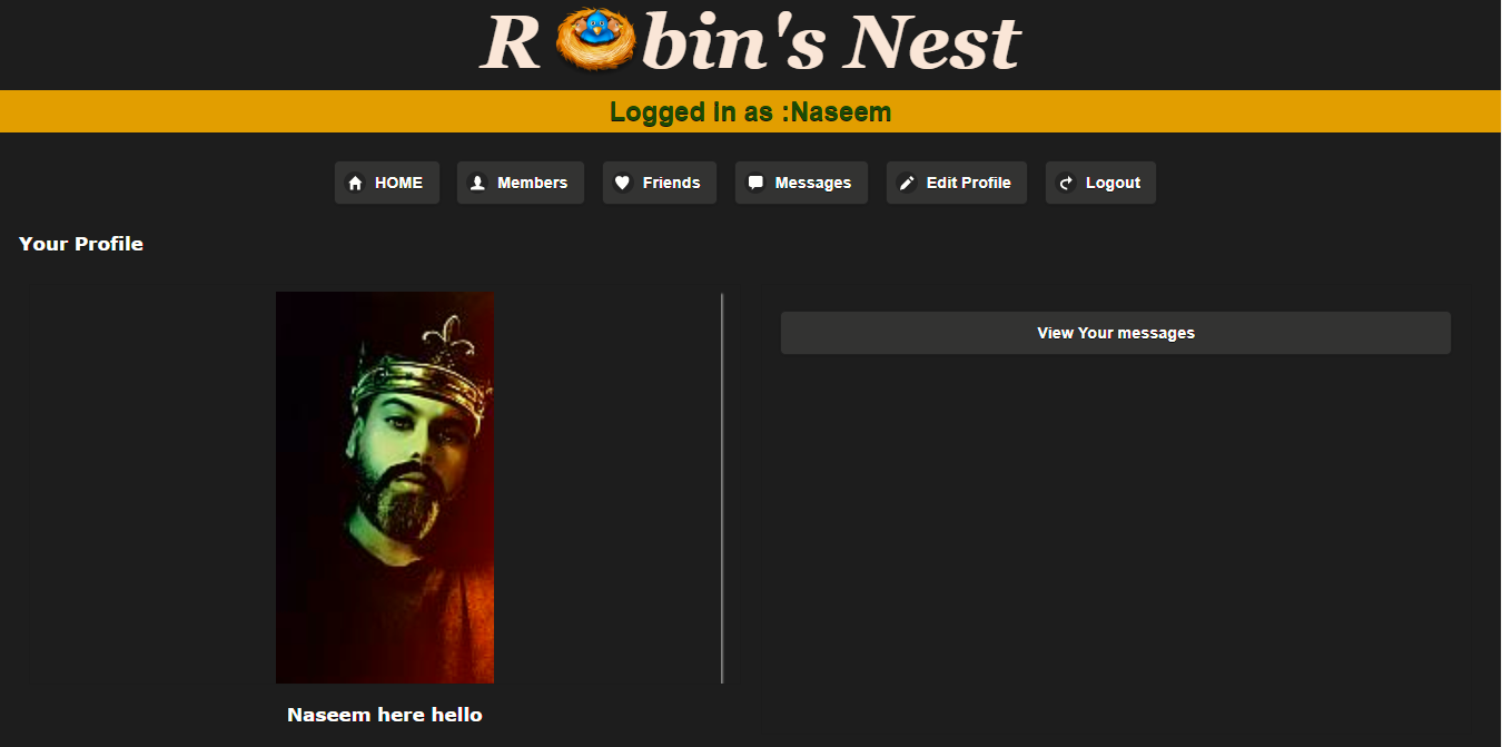 GitHub - Devnk11/Robin-s-Nest: A social Networking php web app in which ...