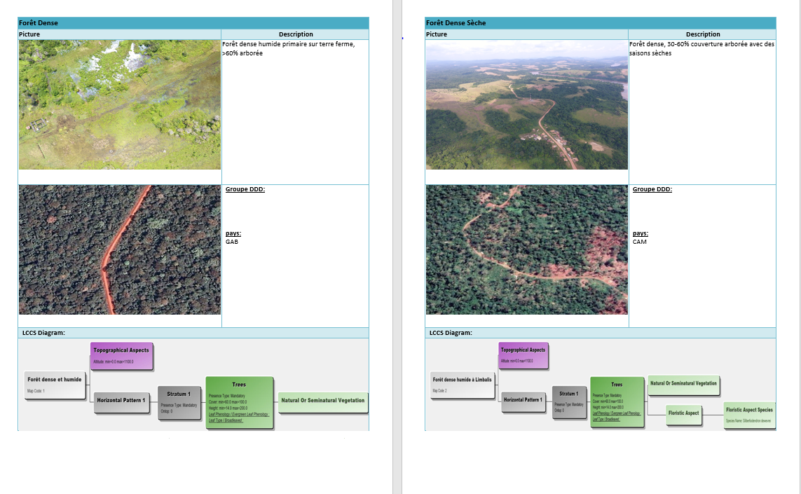 GitHub - t-elisee/Lccs_Sepal-report-generator