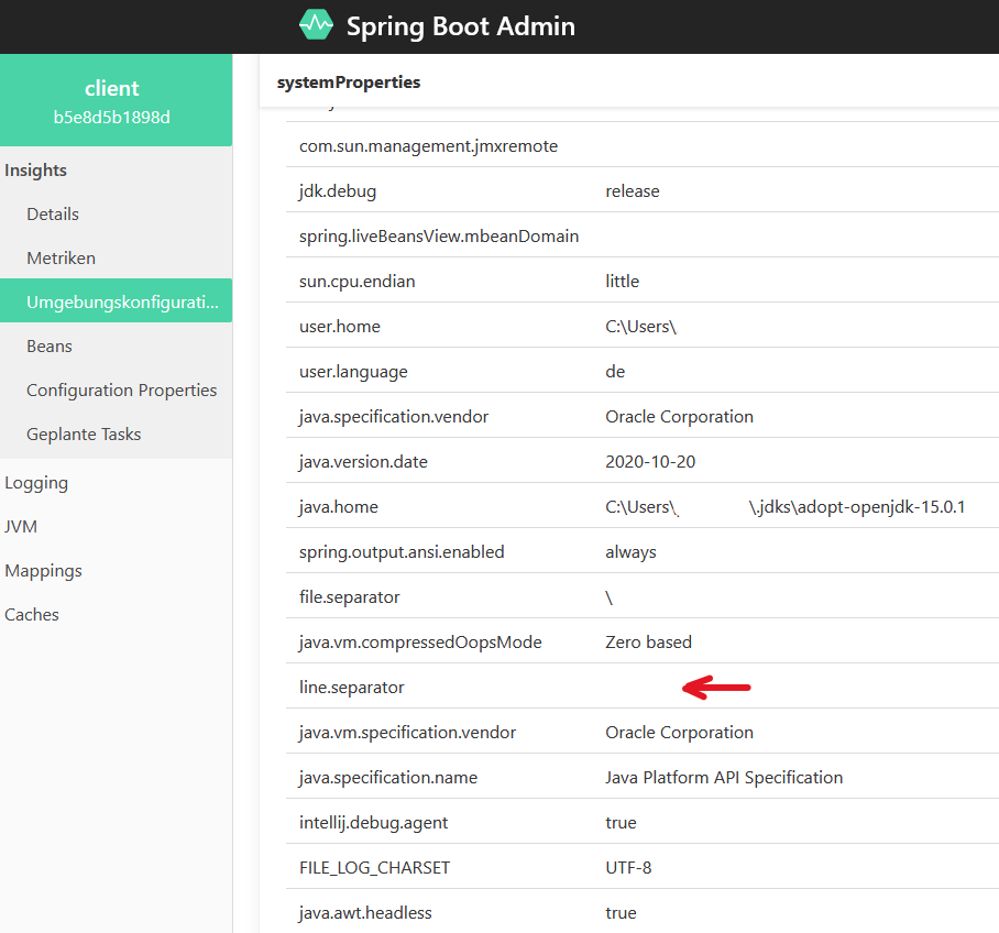 Environment information 'line.separator' is not visible · Issue #1744 · codecentric/spring-boot ...