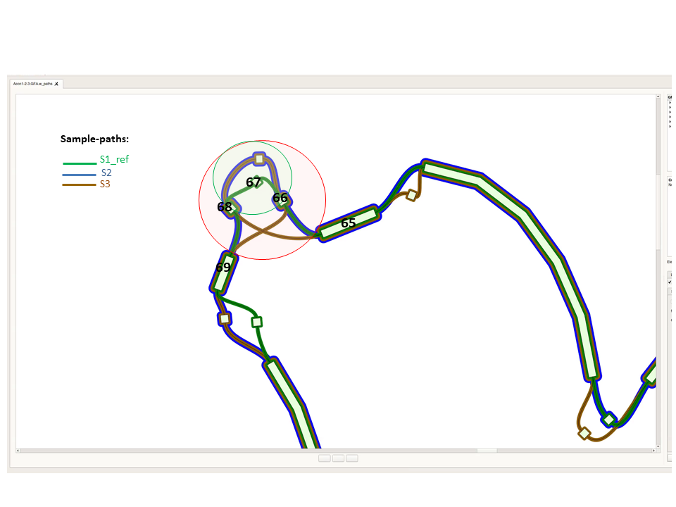 vg snarls doesn't traverse every ultrabubble · Issue #2878 · vgteam/vg · GitHub