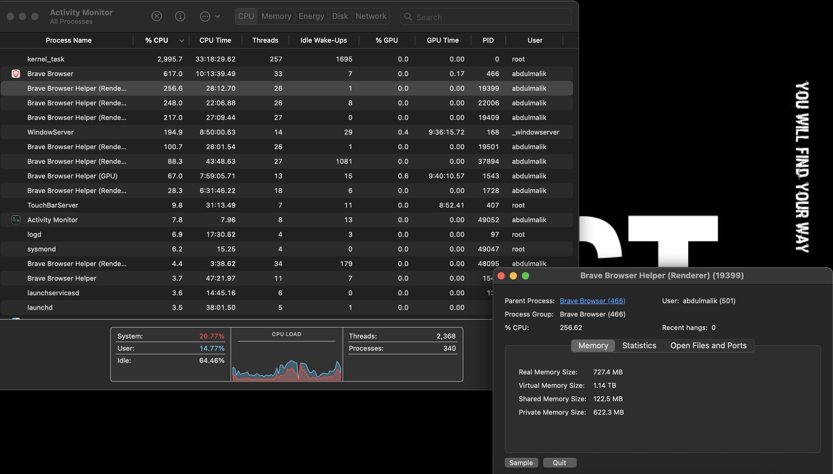 Brave eating up my CPU · Issue #27582 · brave/brave-browser · GitHub