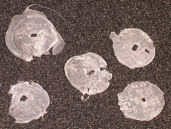 GitHub - nsisong/Stress_detection