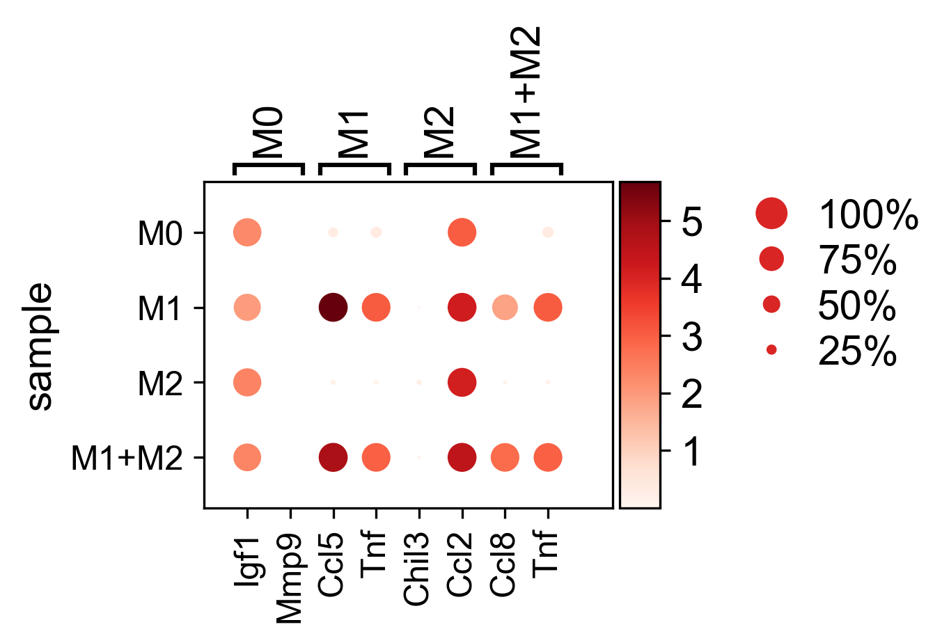 Issue with repeated variables in rank_genes_groups_stacked_violin ...