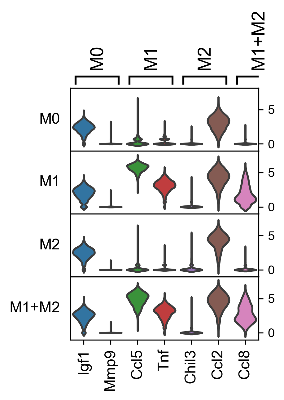 Issue With Repeated Variables In Rank Genes Groups Stacked Violin · Issue 252 · Theislab Scanpy