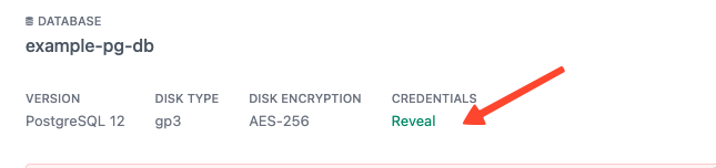 GitHub - Nancy-Chauhan/demo-terraform-with-aptible