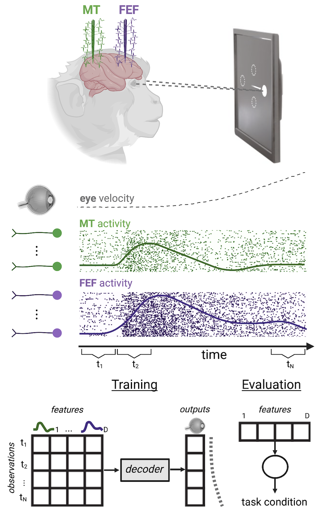 GitHub - mayolabvision/NeuralDecoding
