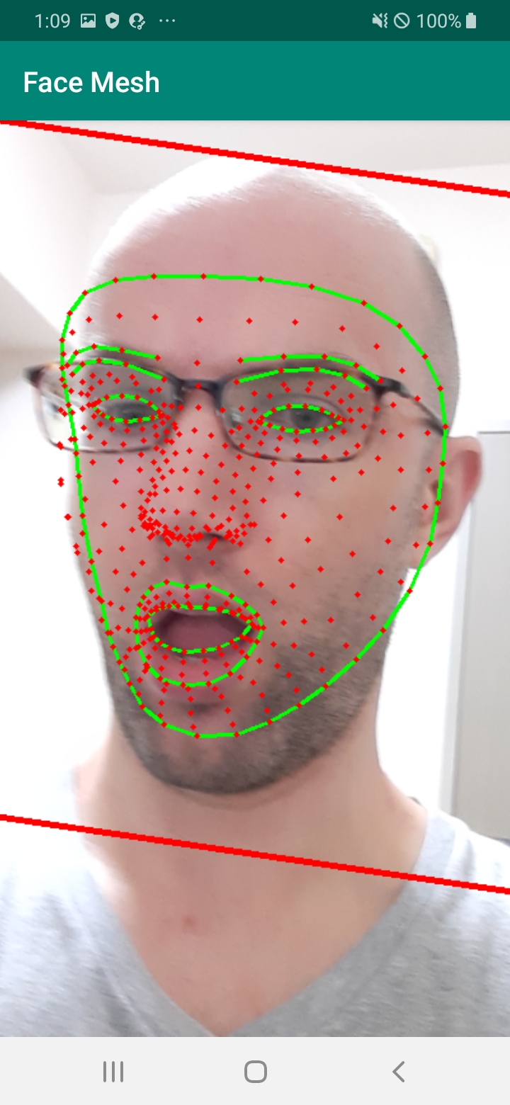 iOS FaceMeshGpuApp example app displays mis-aligned face mesh · Issue ...
