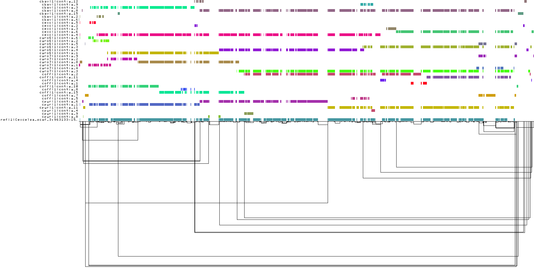 Use of pggb to generate alignments for phylogenomics · Issue #319 · pangenome/pggb · GitHub