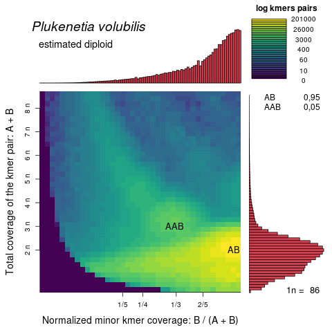 Smudgeplot interpretation Plukenetia volubilis · Issue #36 · KamilSJaron/smudgeplot · GitHub