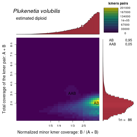 Smudgeplot interpretation Plukenetia volubilis · Issue #36 ...