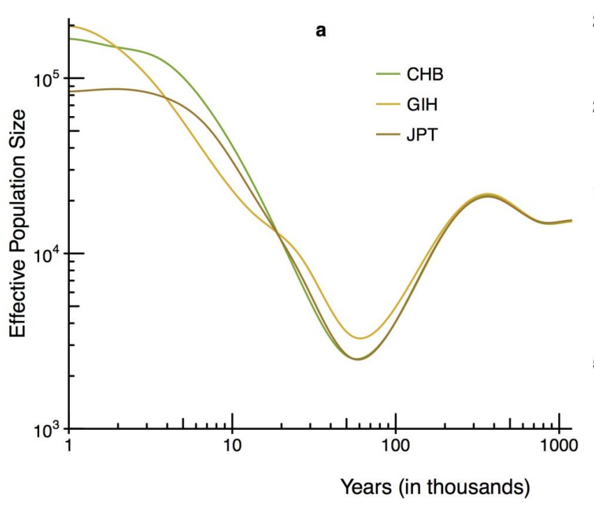 Unable to recreate Supp Fig 2-4 in the SMC++ paper · Issue #172 · popgenmethods/smcpp · GitHub