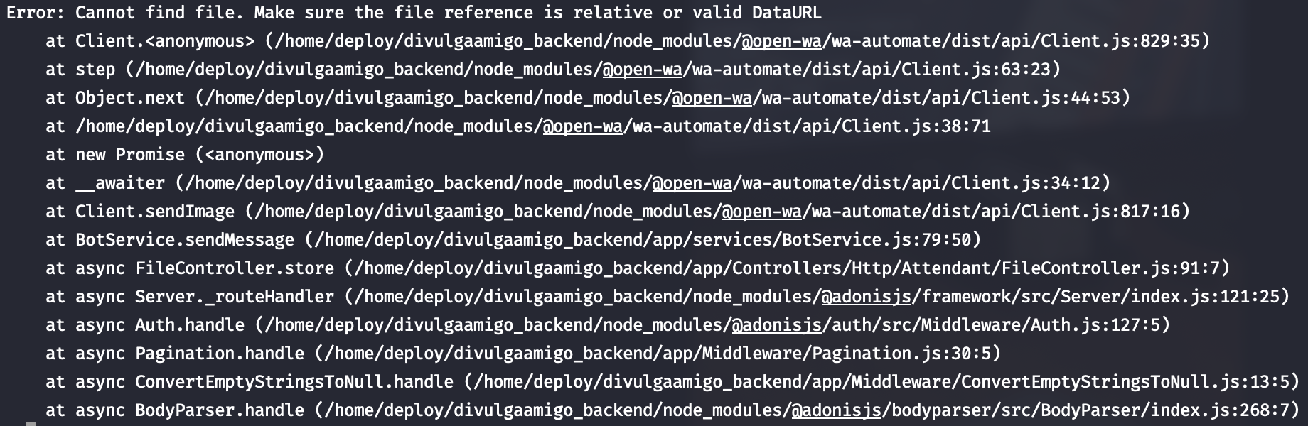 Image does not send via sendImage / sendFile · Issue #876 · open-wa/wa-automate-nodejs · GitHub